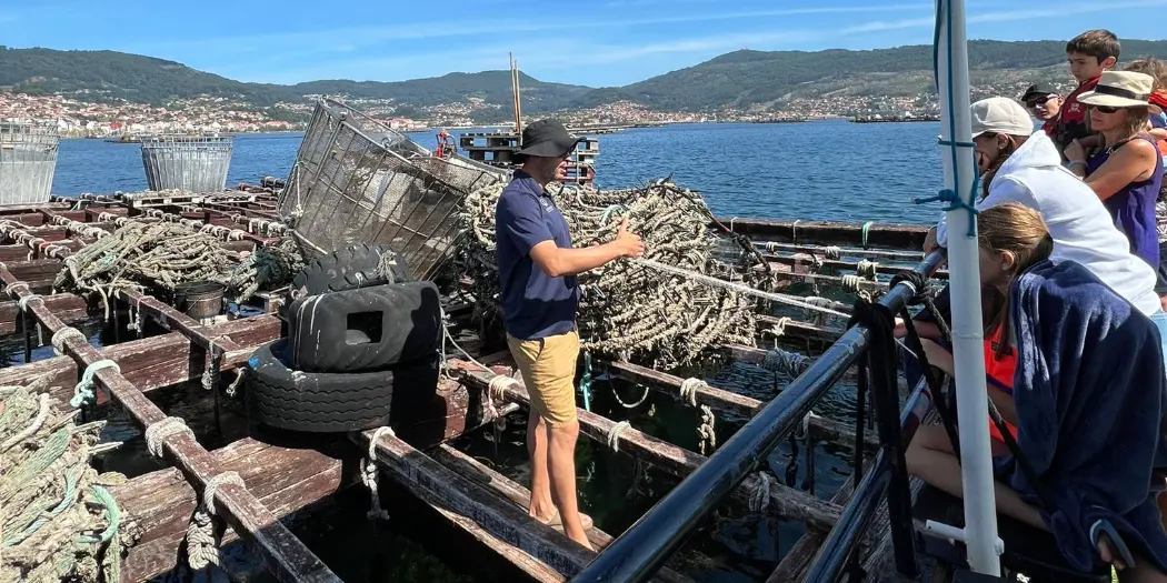 Route Between Mussel Rafts and Tasting in Vigo | Galiwonders